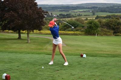 Seven local golfers eye WPIAL gold | Sports | dailycourier.com