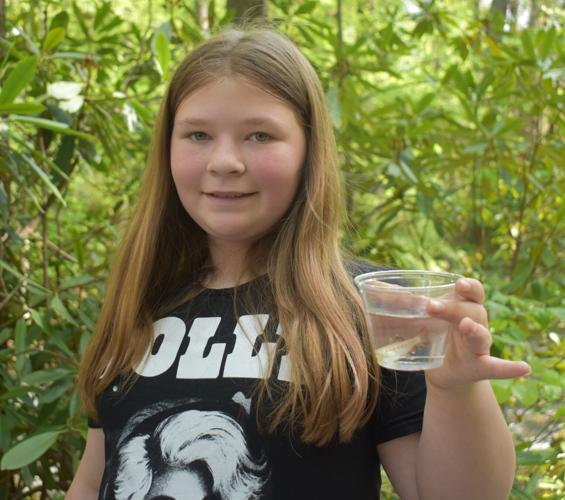 Trout in the Classroom | Multimedia | dailycourier.com