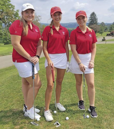 Vikings set big goals this season | Sports | dailycourier.com
