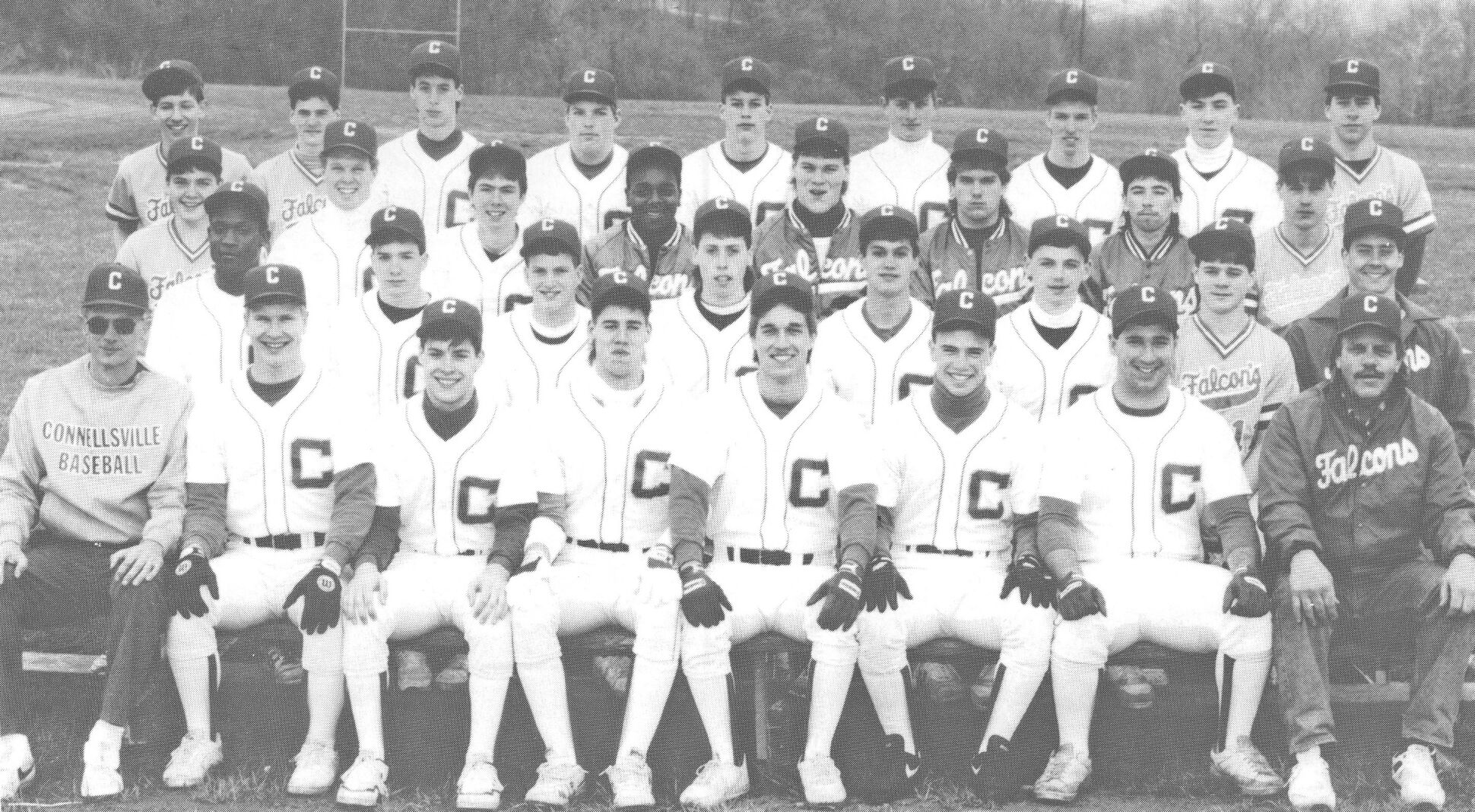 30 years ago, Falcons were the pride of PA | Sports | dailycourier.com