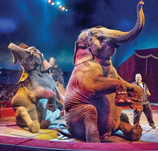 Loomis Bros. Circus returns to Mt. Pleasant in April | News ...