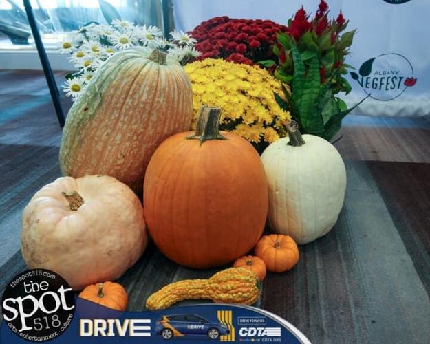 SPOTTED: Albany VegFest at Albany Capital Center | Albany County ...