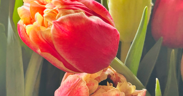 Vision-impaired photographer shows artwork in Johnstown | leaderherald ...