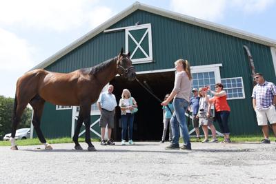Saratoga farm tour series includes birthplace of Funny Cide | Sports ...