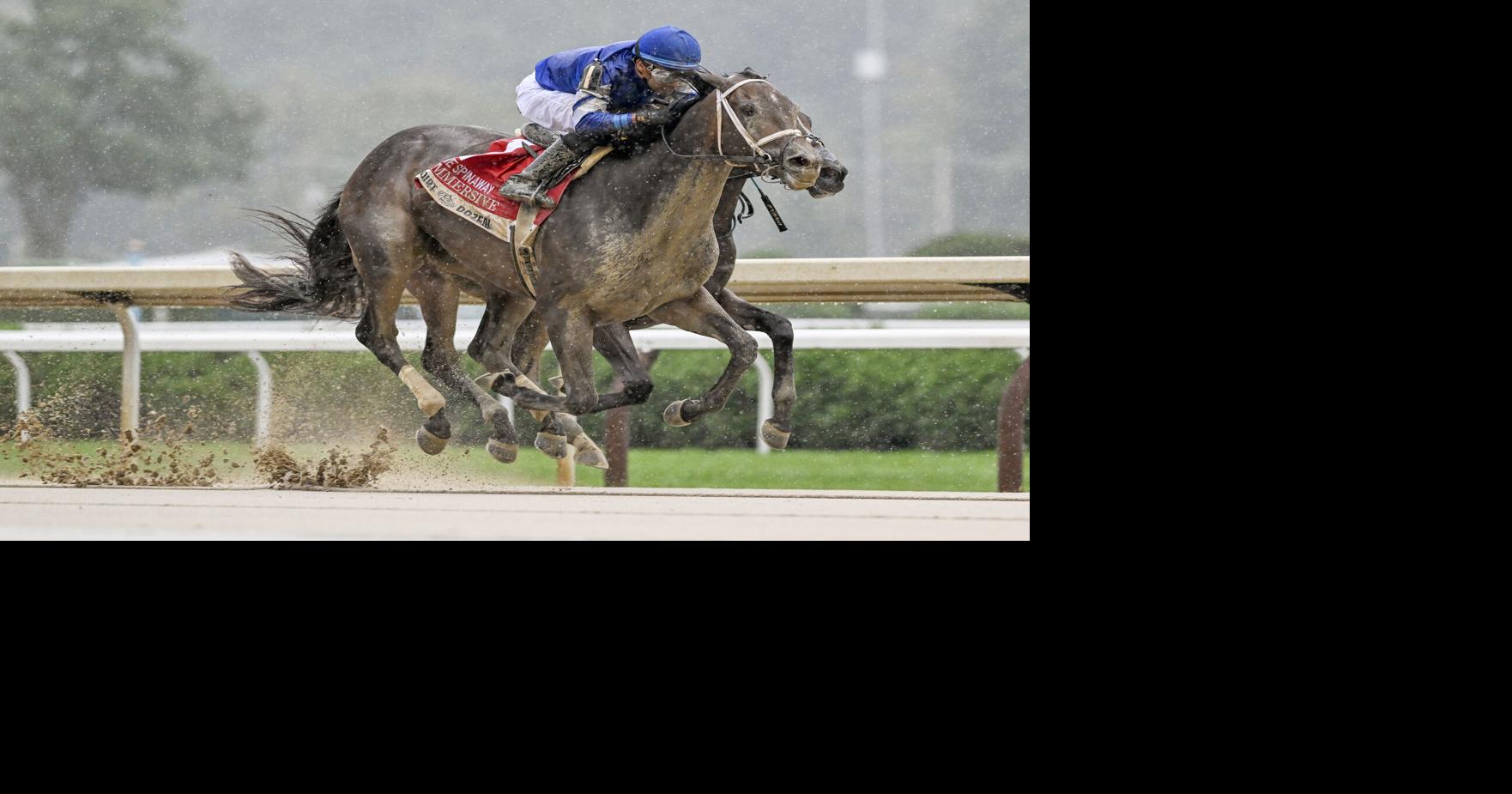 Champion Immersive looking to shake off loss as CCA Oaks favorite ...