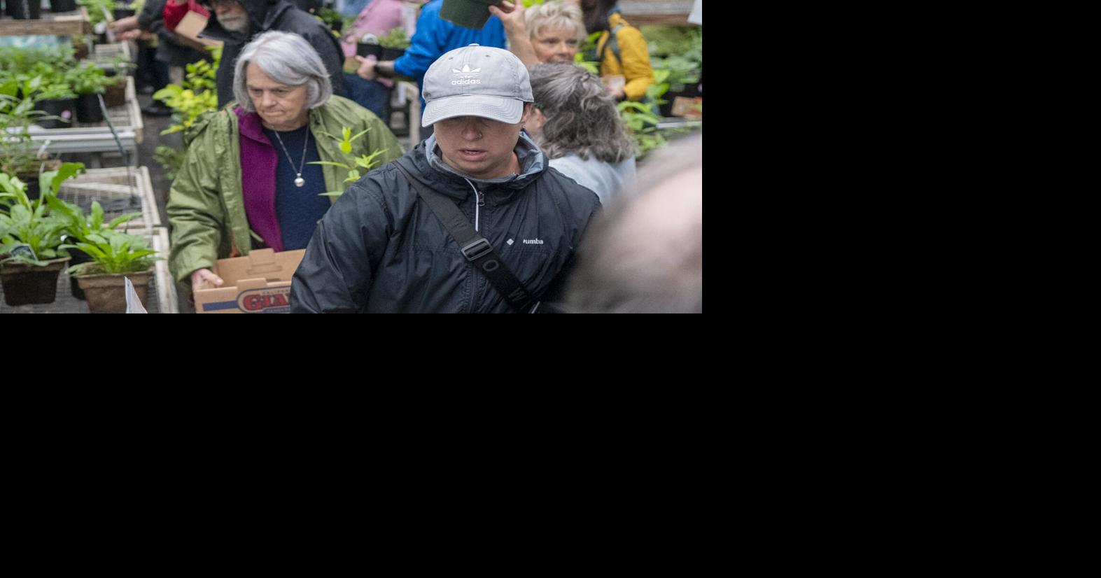 Photos: Pollinator Palooza event for Sustainable Saratoga | Photo ...