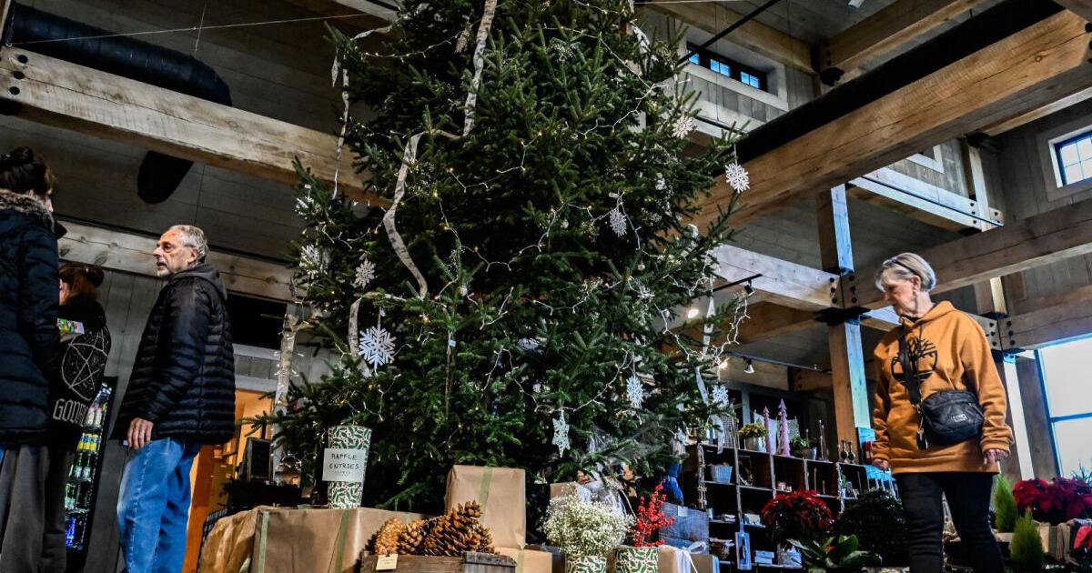 Mandy’s Spring Nursery & Florist opens in Granville | Business ...