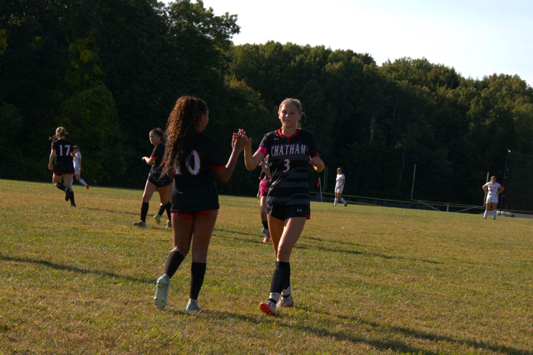 Section 2 girls’ soccer: Chatham notches second-straight shutout ... Section 2 girls’ soccer: Chatham notches second-straight shutout ...