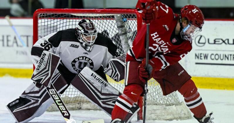 Goalie Kyle Chauvette transferring from Union men's hockey | Sports ...