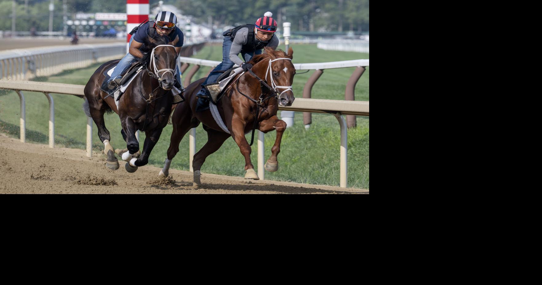 Whitney field taking shape, will be drawn on Sunday | Horse Racing ...