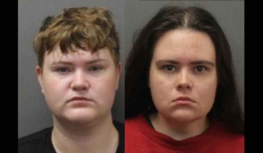 2Halfmoon women charged with animal mistreatment | Police, Fire, Courts ...