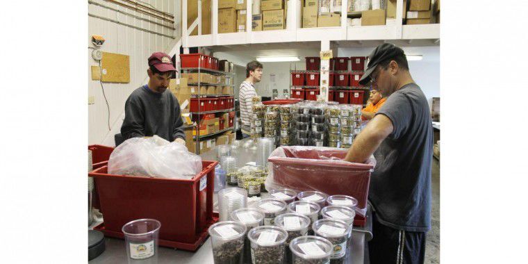Local nut roaster ranks high, organically | | dailygazette.com
