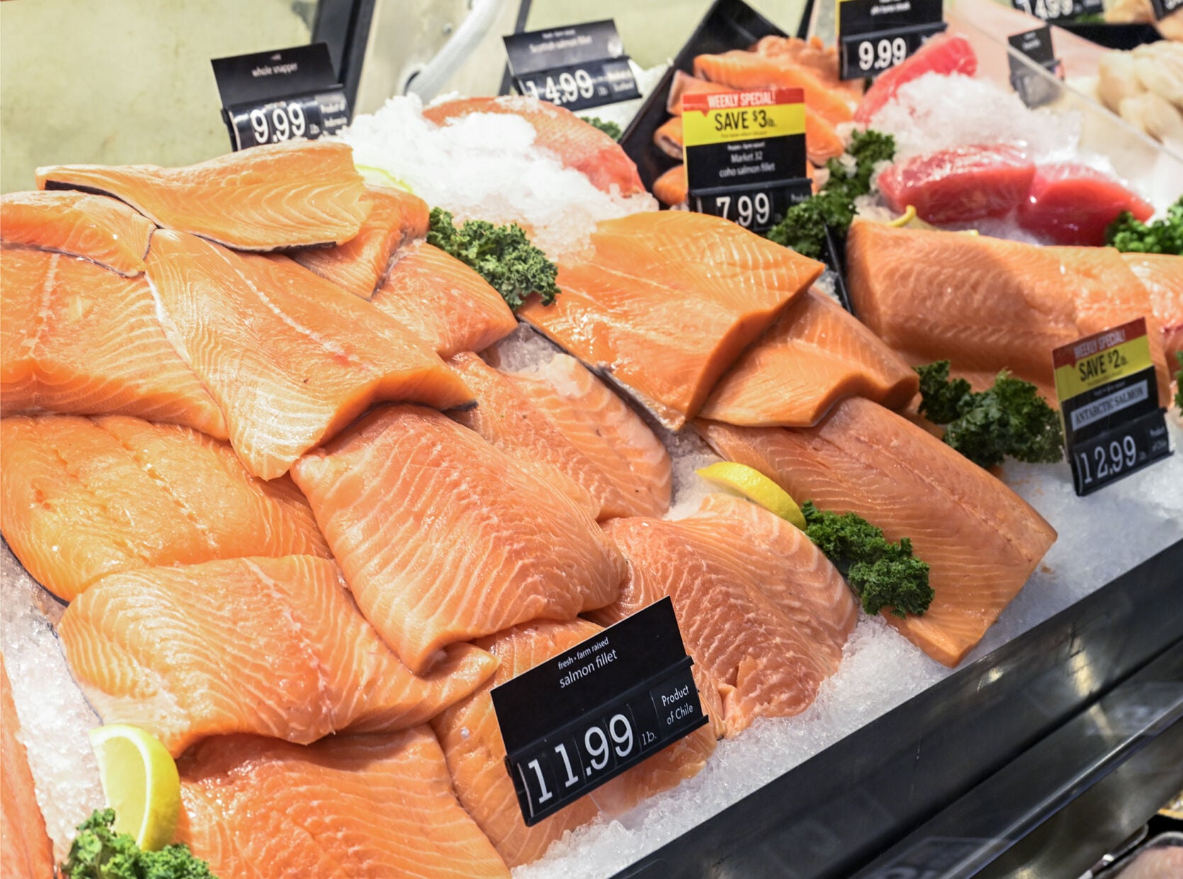 Photos: Seafood at Market 32 in Rotterdam | Food Galleries ...