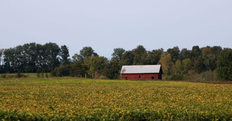 Fulton County moving forward with first ag plan since 2002 | Leader ...