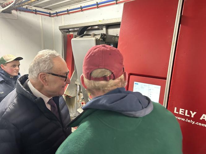 Chuck Schumer visits Valatie dairy farm | News | dailygazette.com