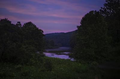 river firefly over time