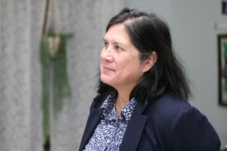 Stefanik rival Collins defends ERA at Johnstown event | Leader Herald ...