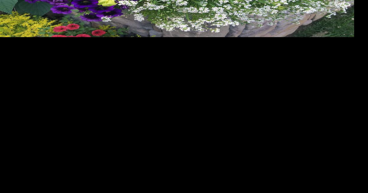 On Gardening: Three-part harmony container design for beginners ...