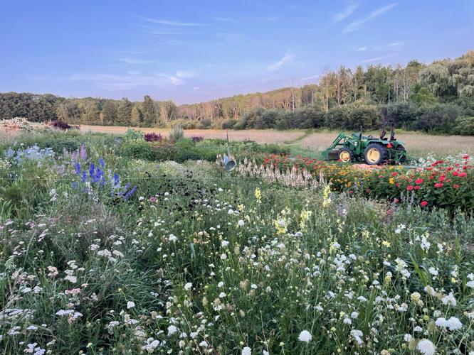 Sarah Ryhanen's Worlds End Farm | Business | dailygazette.com
