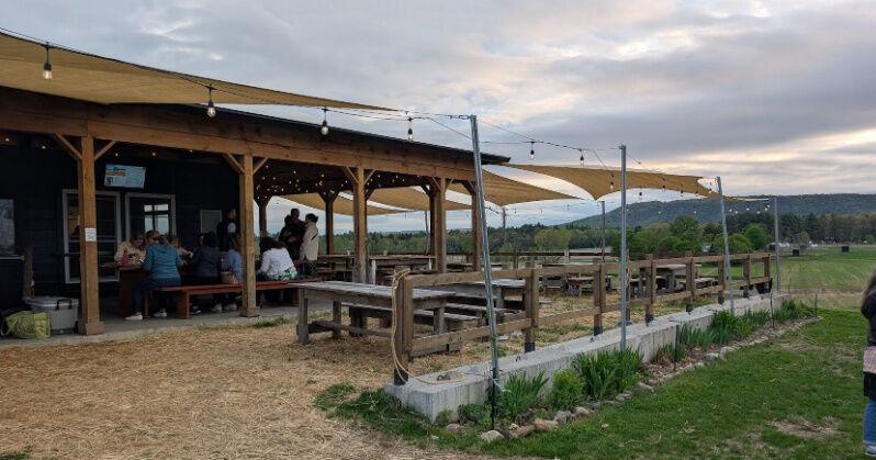 Review: Dancing Grain Farm Brewery, Moreau | Daily Gazette Food & Drink ...