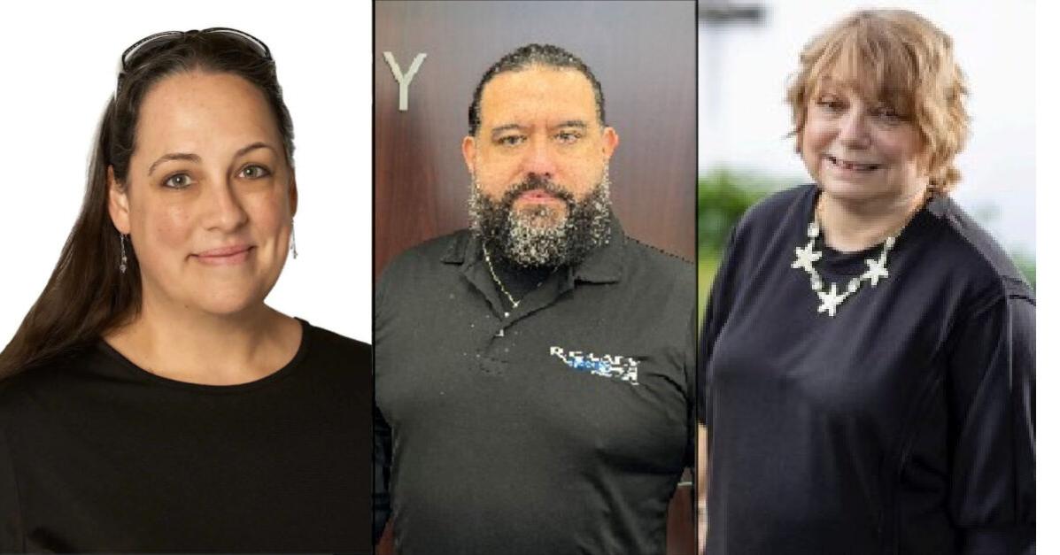 Three vie for two seats on Catskill Town Board | Politics ...