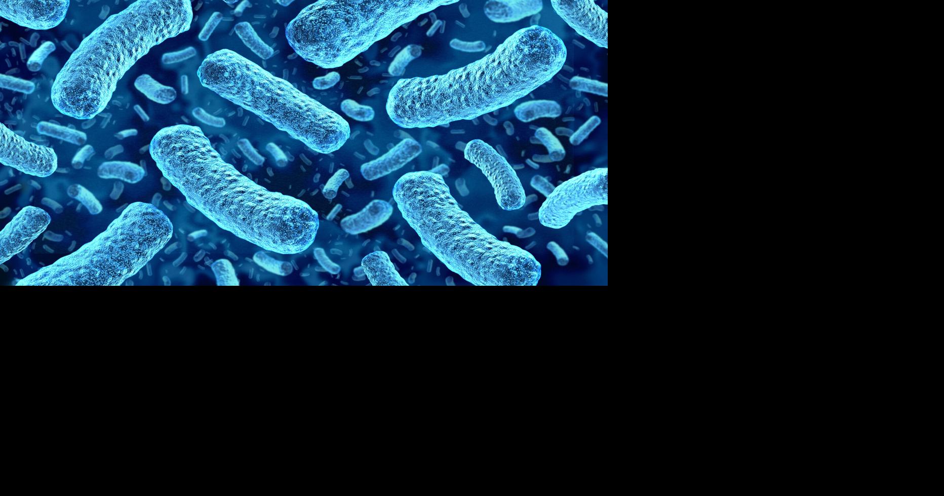 Lawsuit claims listeria-infected sprouts grown in Wisconsin killed ...