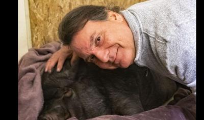 Canajoharie emotional support pig no longer hogs headlines | News ...