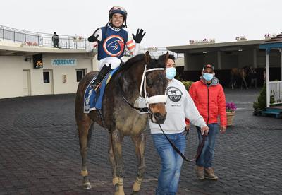 Jockey Eric Cancel ties NYRA record with 6 wins | Sports | dailygazette.com