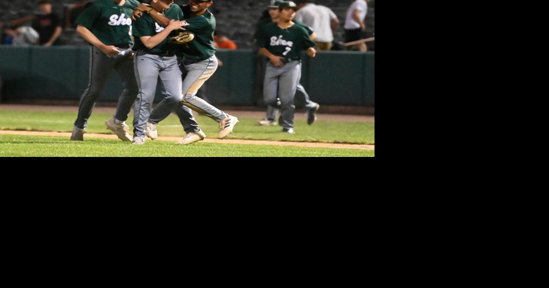 Section 2 baseball: Shenendehowa rallies, pours it on to take Game 2 ...