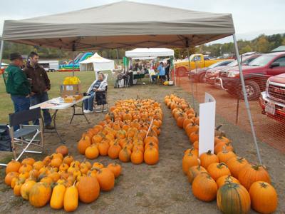 Pat Ferris and her husband Bob | | dailygazette.com