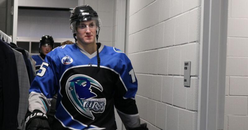 Clifton Park native Pelton commits to Union men's hockey | Sports ...