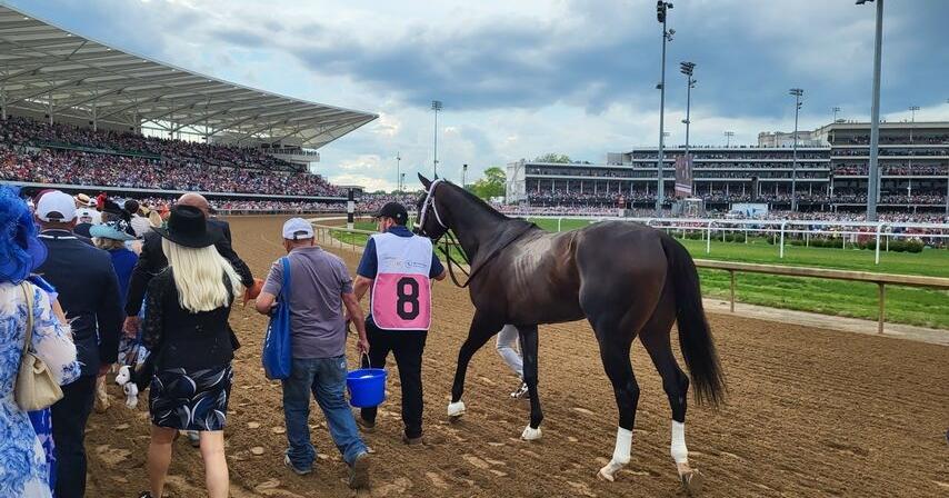 UPDATED: Horses to watch this weekend: Just a Touch battles hard but ...