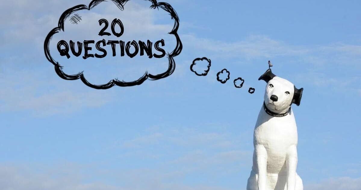 20 Questions with Nipper (feat. James Mullen) | | dailygazette.com