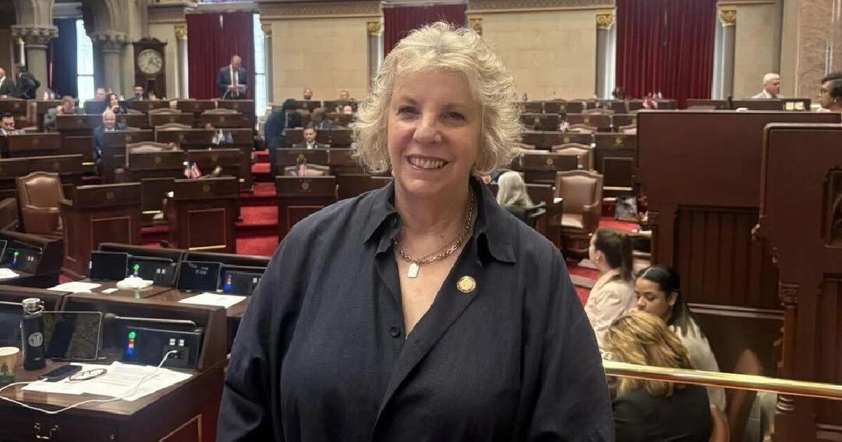 Assembly passes Barrett-backed bill on AI data center pause ...