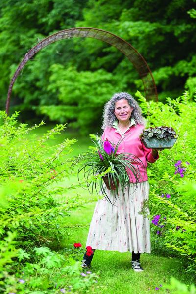 The Claverack Library is pleased to host “Houseplant Care” | Archives ...
