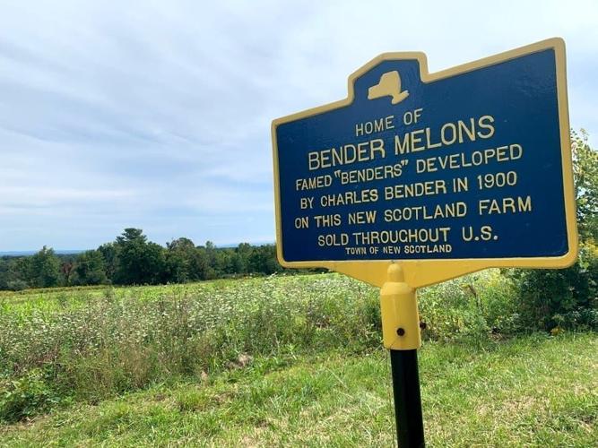 Land conservancy group eyes former Bender farm for $1.2M purchase ...