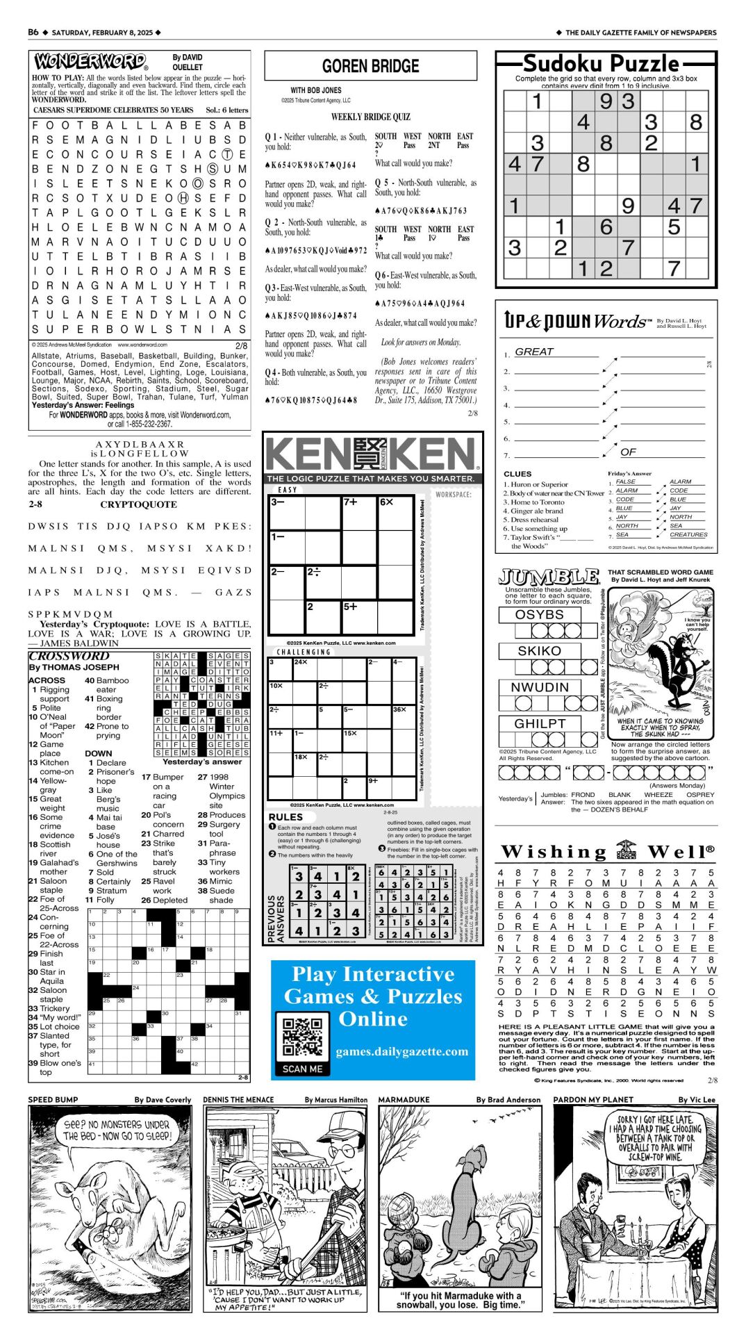 Puzzles and Comics for Saturday, Feb. 8, 2025 | News | dailygazette.com