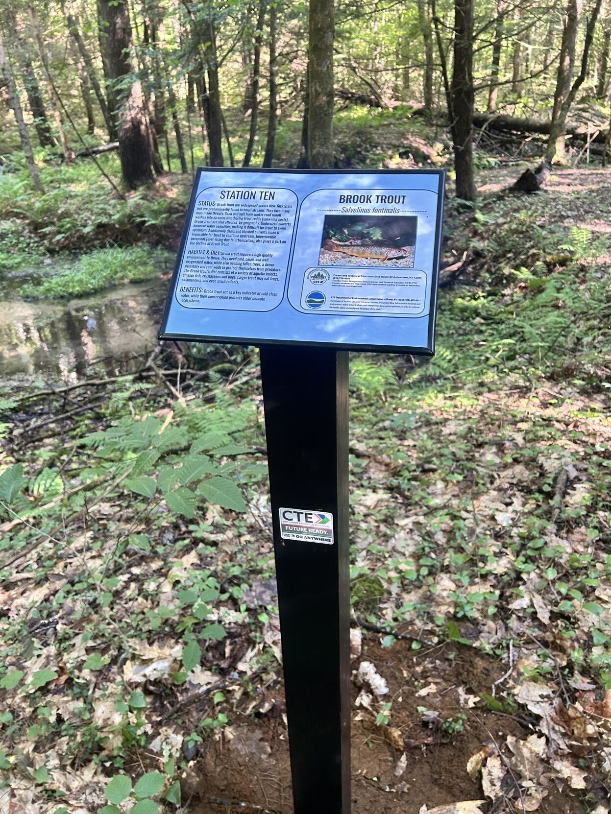 HFM BOCES students install wildlife signs on Hill Creek property ...
