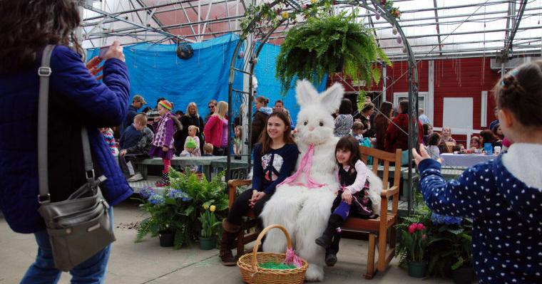 Easter celebrity | | dailygazette.com
