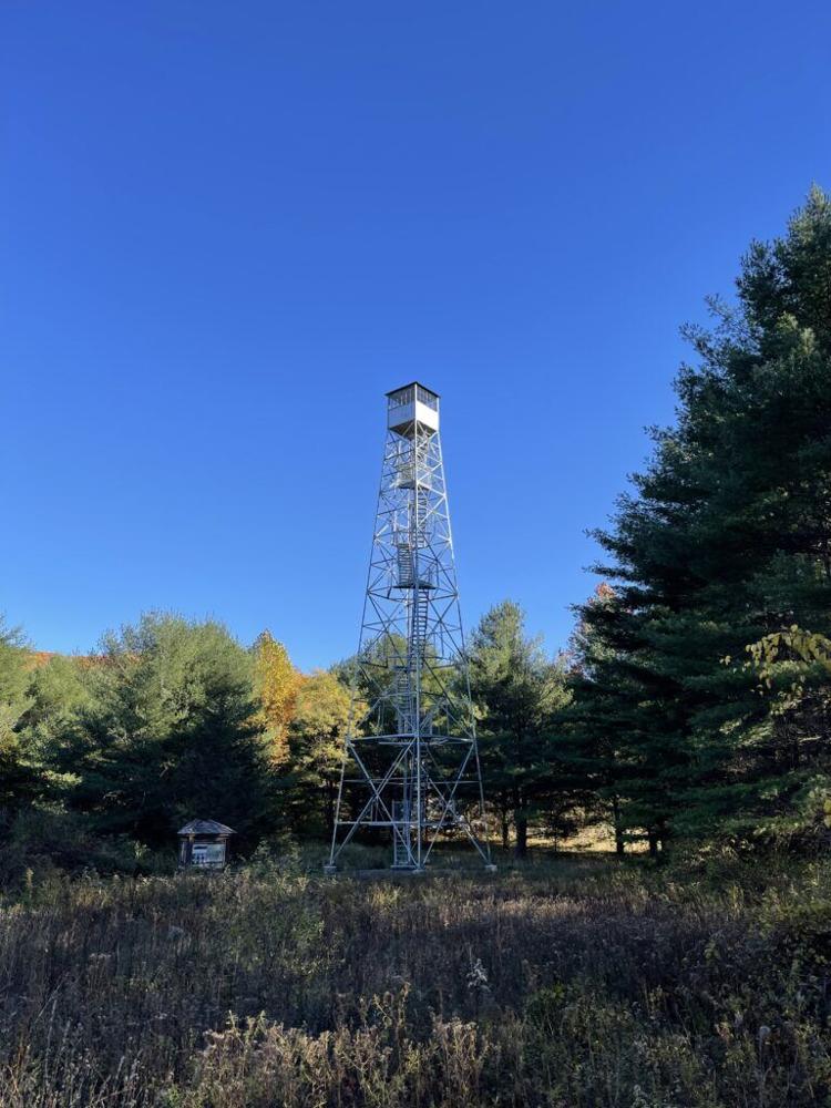 Delaware County fire towers added to 2026 hiking challenge ...