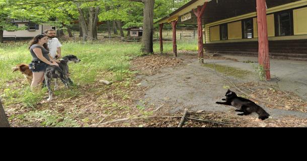 Plans in the works to reinvent the former zoo | News | dailygazette.com