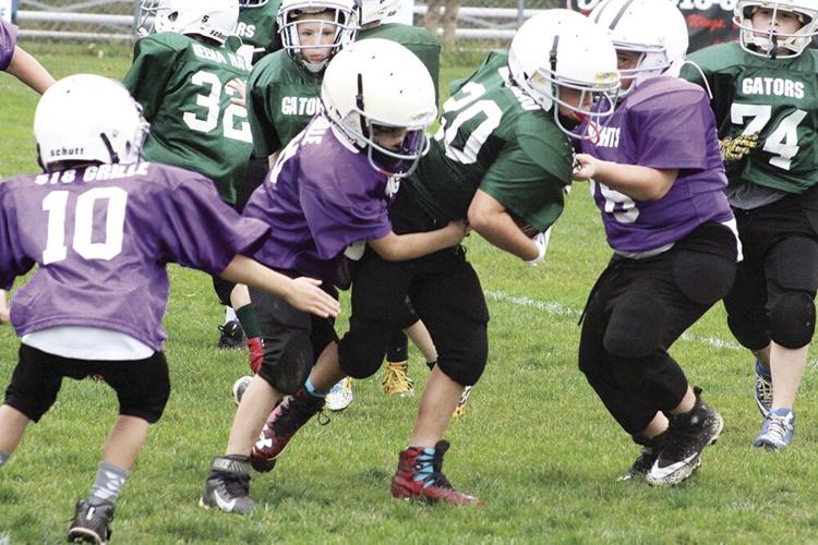 little giants padding