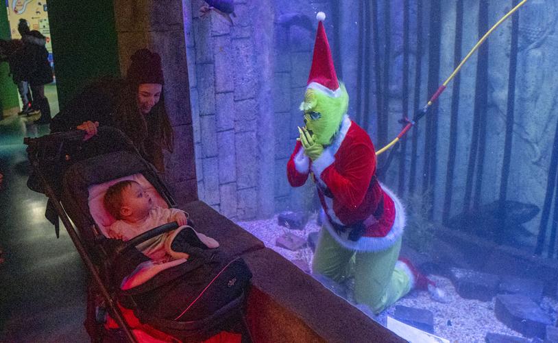 The Grinch makes a splash at Via Aquarium | Life & Arts | dailygazette.com