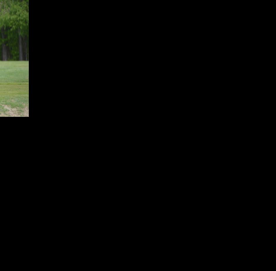 Three area golfers finish in top-nine of Section VII championship ...
