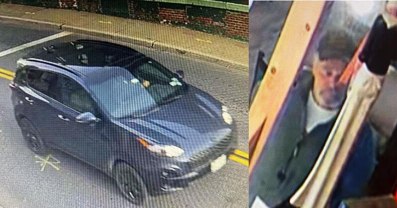 Catskill police seek hit-and-run driver in dog death | News ...