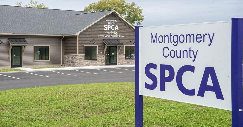 Montgomery County SPCA holding clinic open house Thursday | Good News ...
