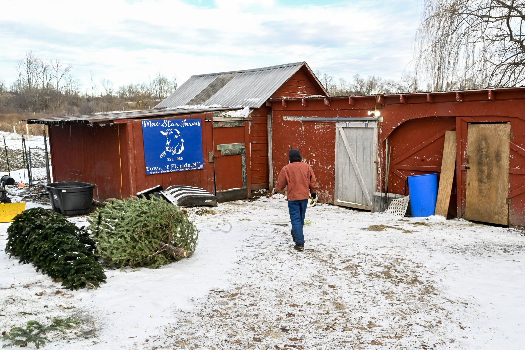 Montgomery County farm makes goat treats from christmas trees ...