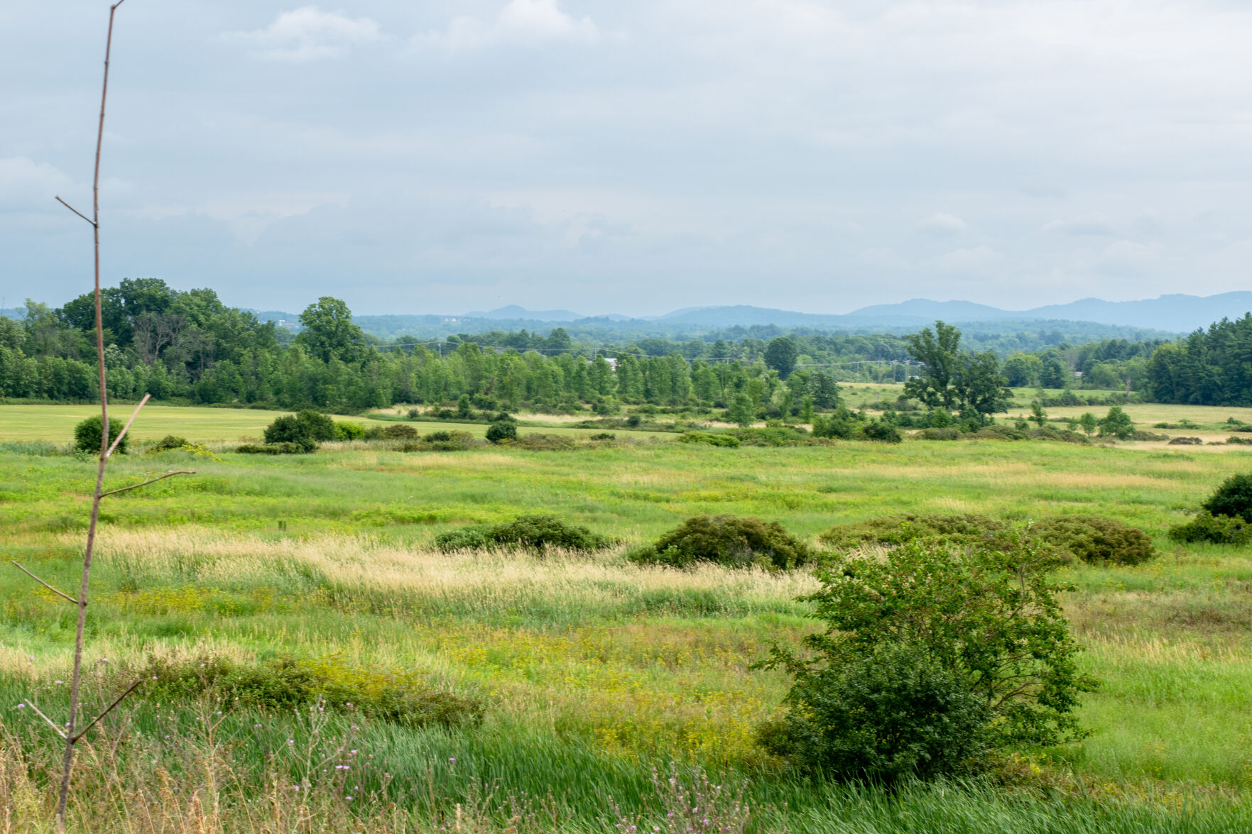 Grassland Bird Trust, Woerner make legislative difference | Life & Arts | dailygazette.com