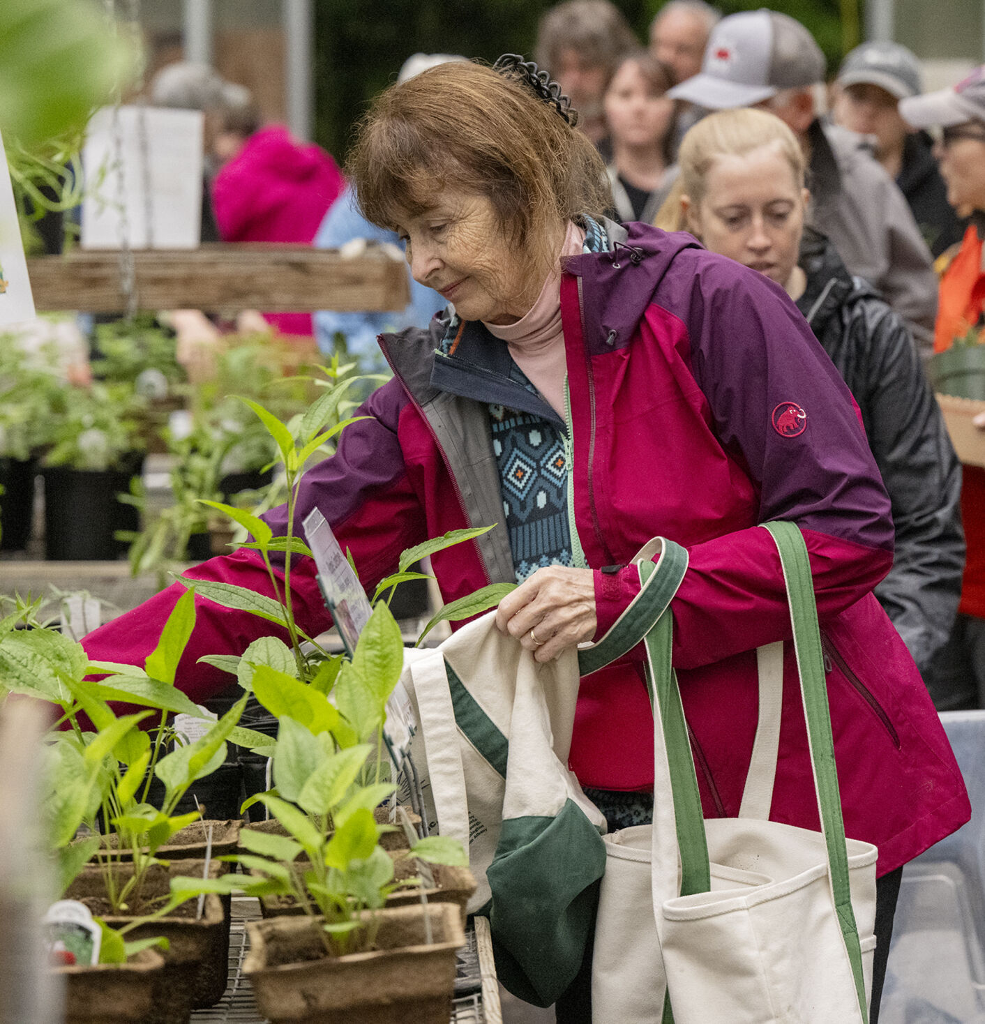 Photos: Pollinator Palooza event for Sustainable Saratoga | Photo ...