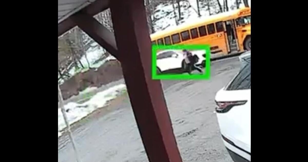 Speeding man in car almost hits New Baltimore child | News ...
